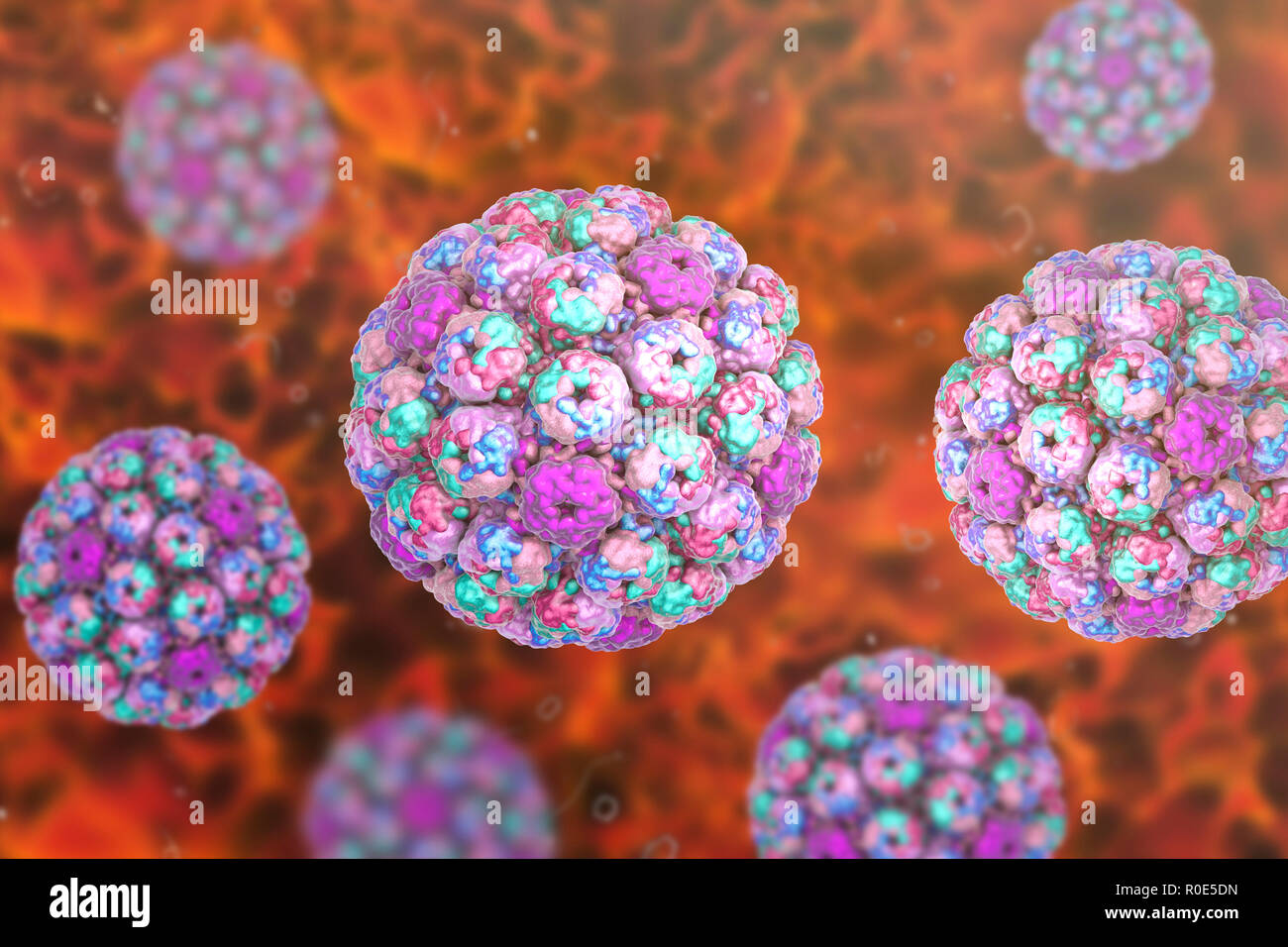 Immune Systems High Resolution Stock Photography and Images - Alamy