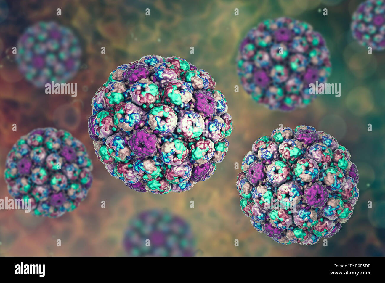 Immune systems hi-res stock photography and images - Alamy