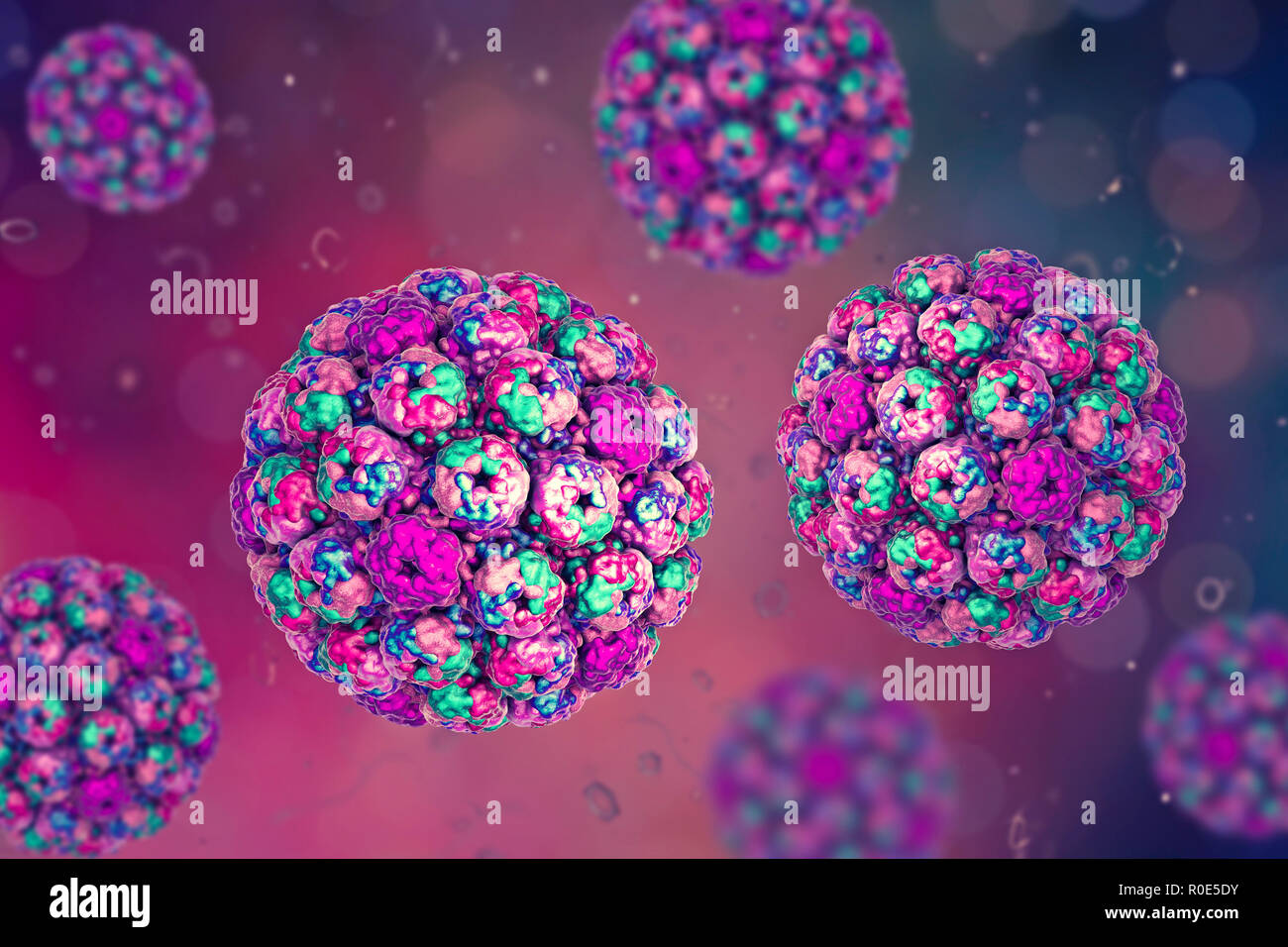 Polyomavirus hi-res stock photography and images - Alamy