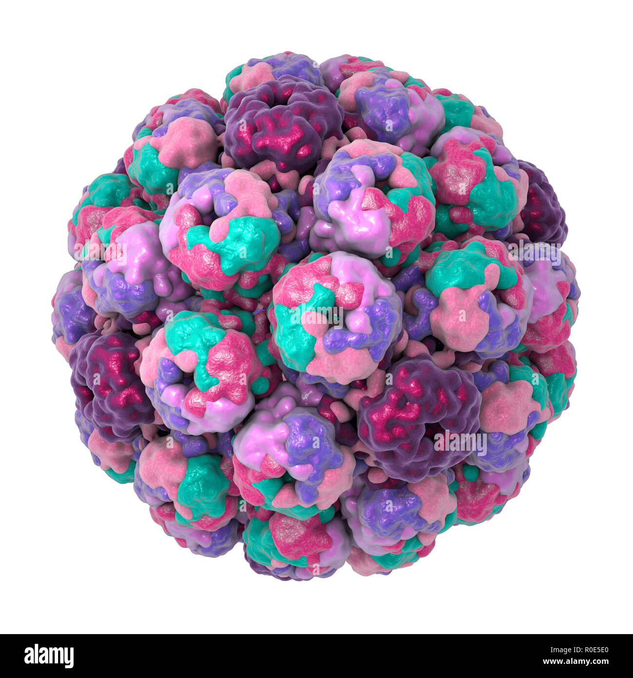 Computer illustration of the capsid of a polyoma BK virus. This ...
