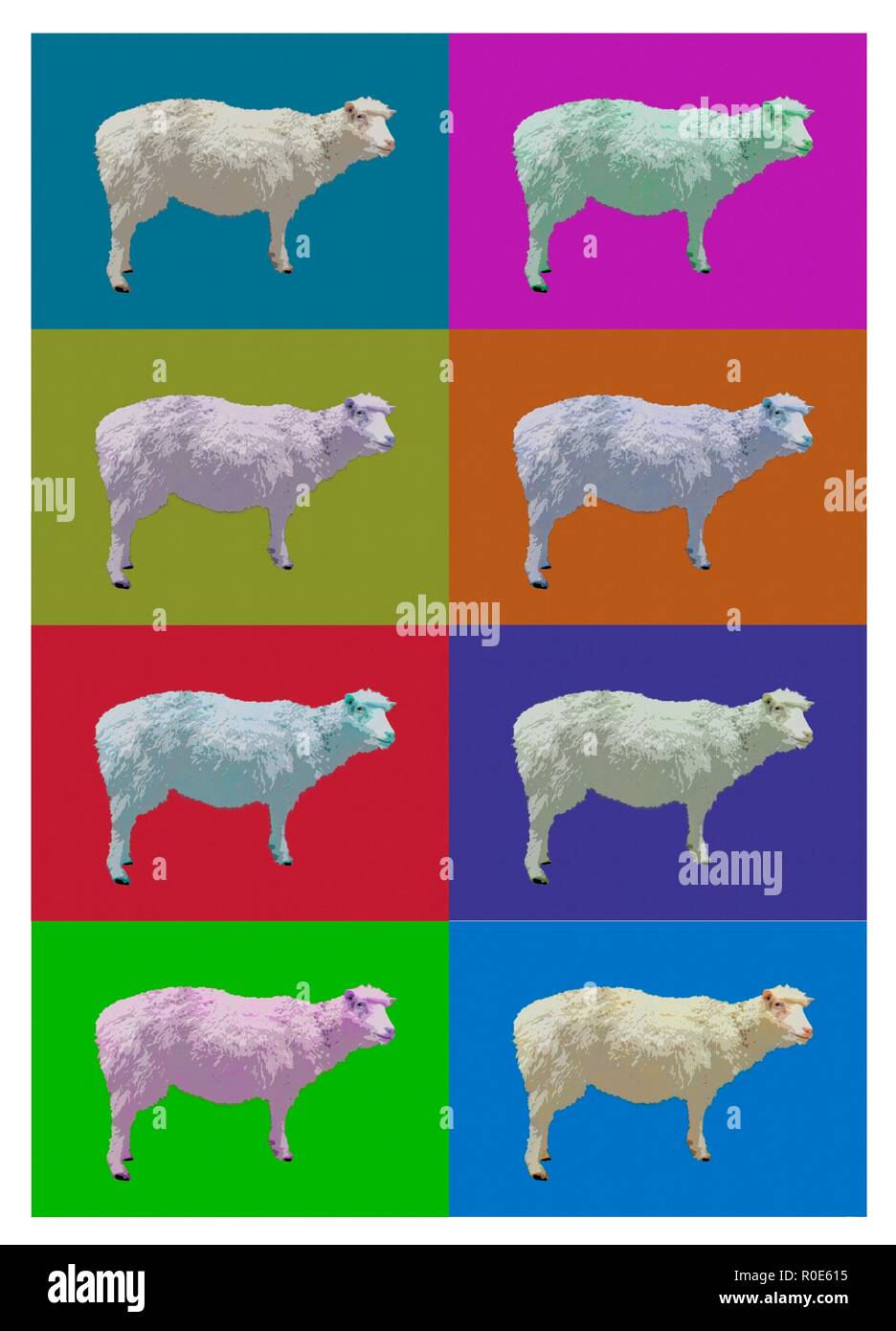 Dolly the sheep cloning hi-res stock photography and images - Alamy