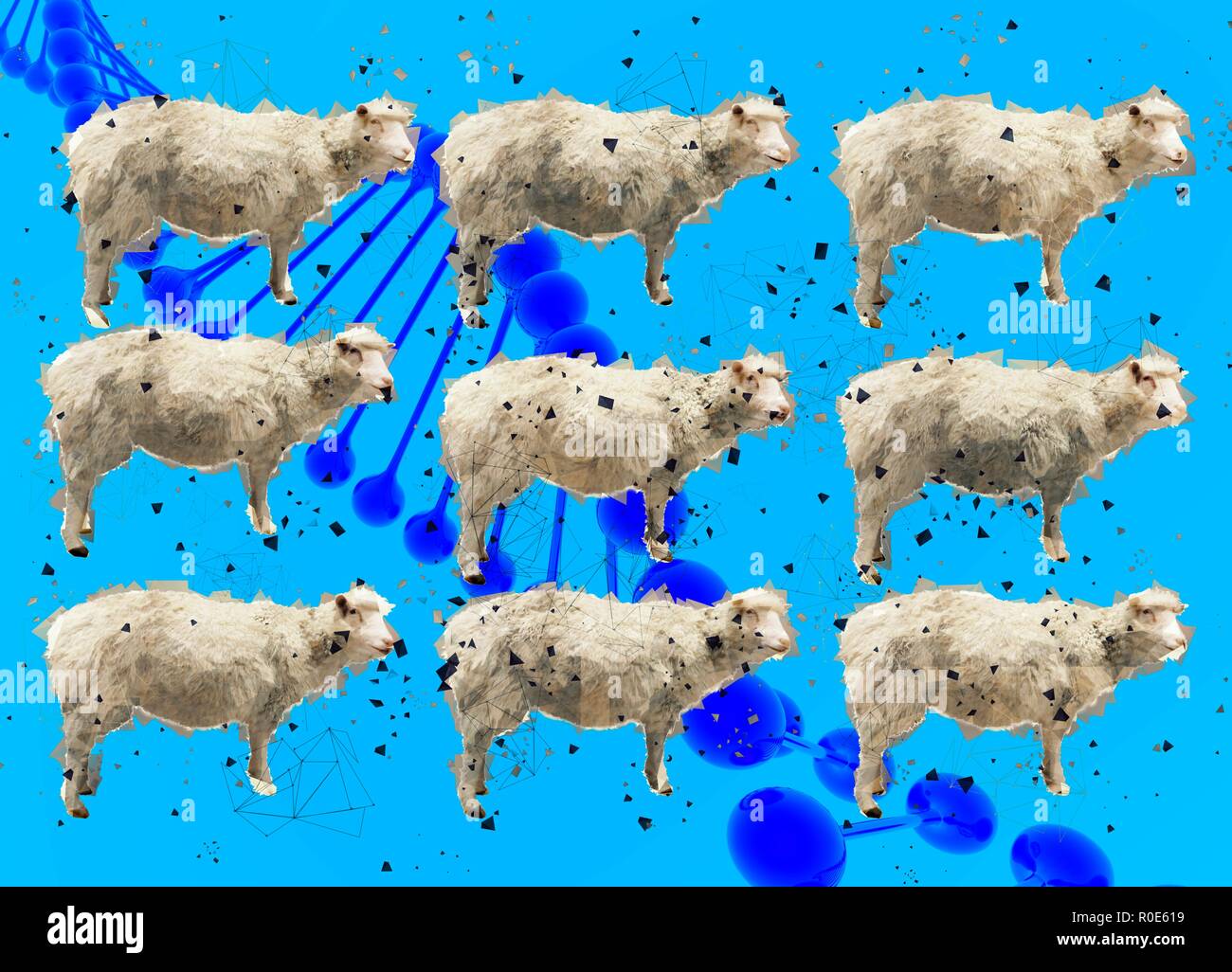 Sheep cloning, conceptual illustration Stock Photo - Alamy