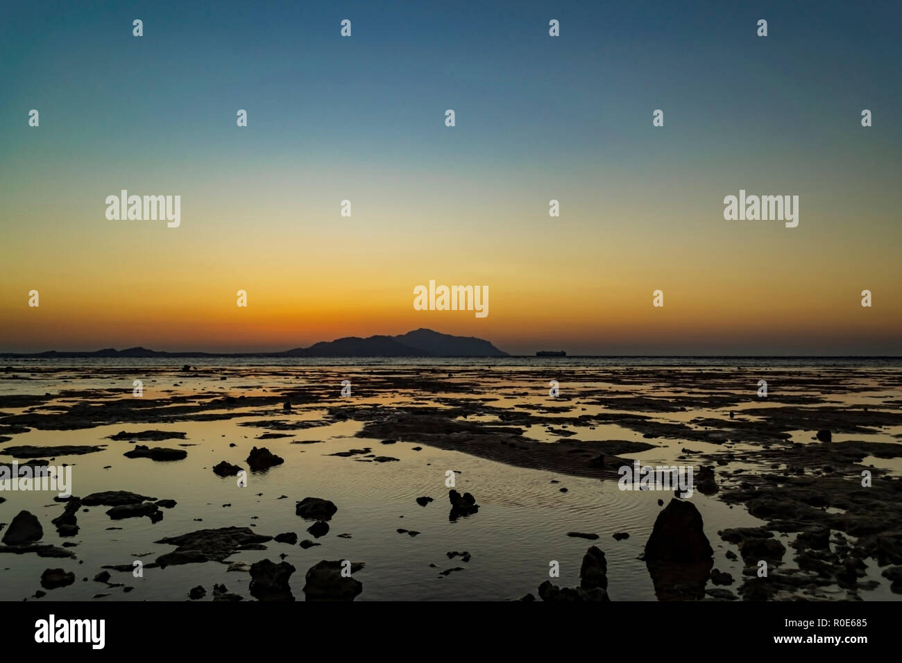 Saudi arabia underwater red sea hi-res stock photography and images - Alamy