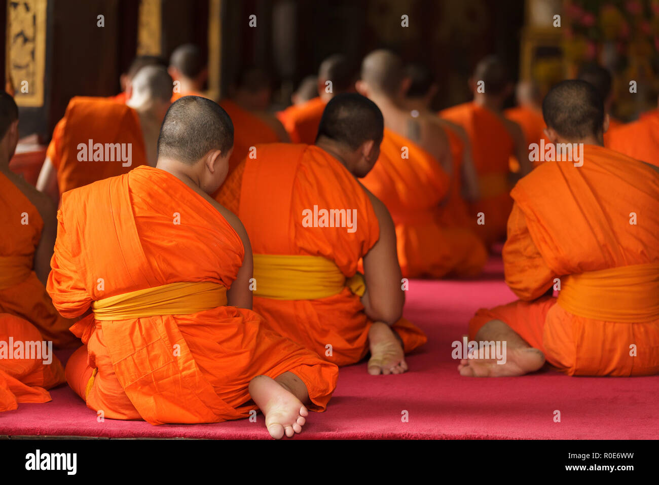 thai monks praying during ceremony, Bangkok, Thailand Stock Photo - Alamy
