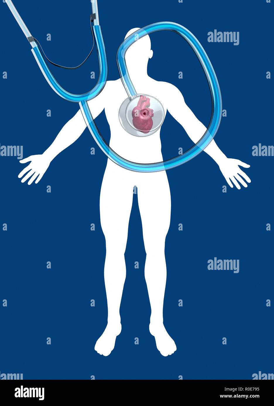 Human heart with stethoscope hi-res stock photography and images - Alamy