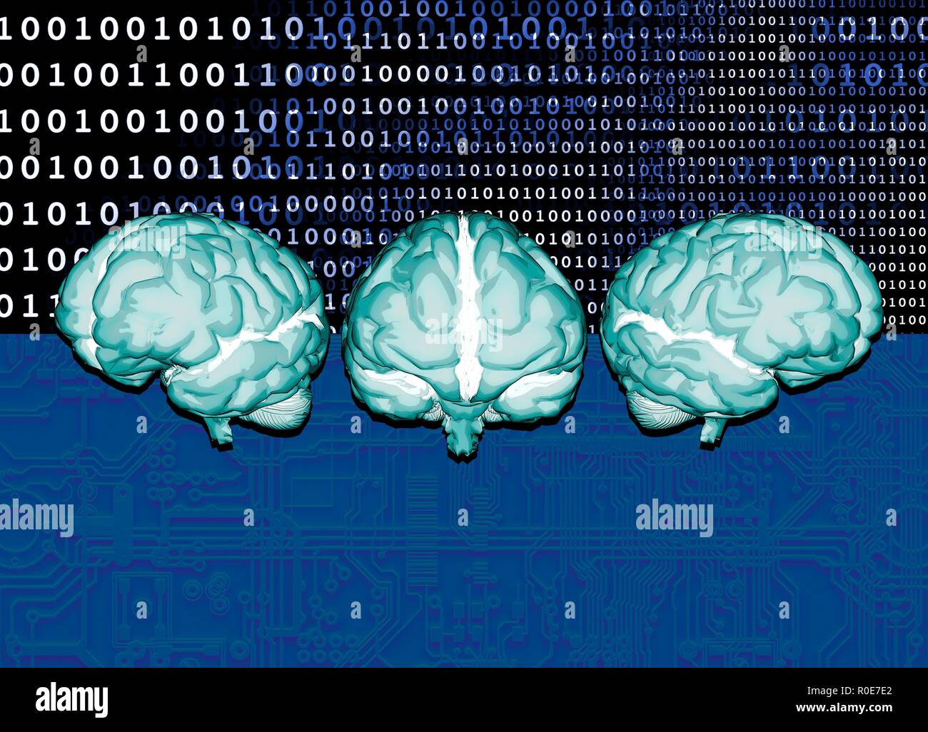 Human brains and binary code, illustration Stock Photo - Alamy