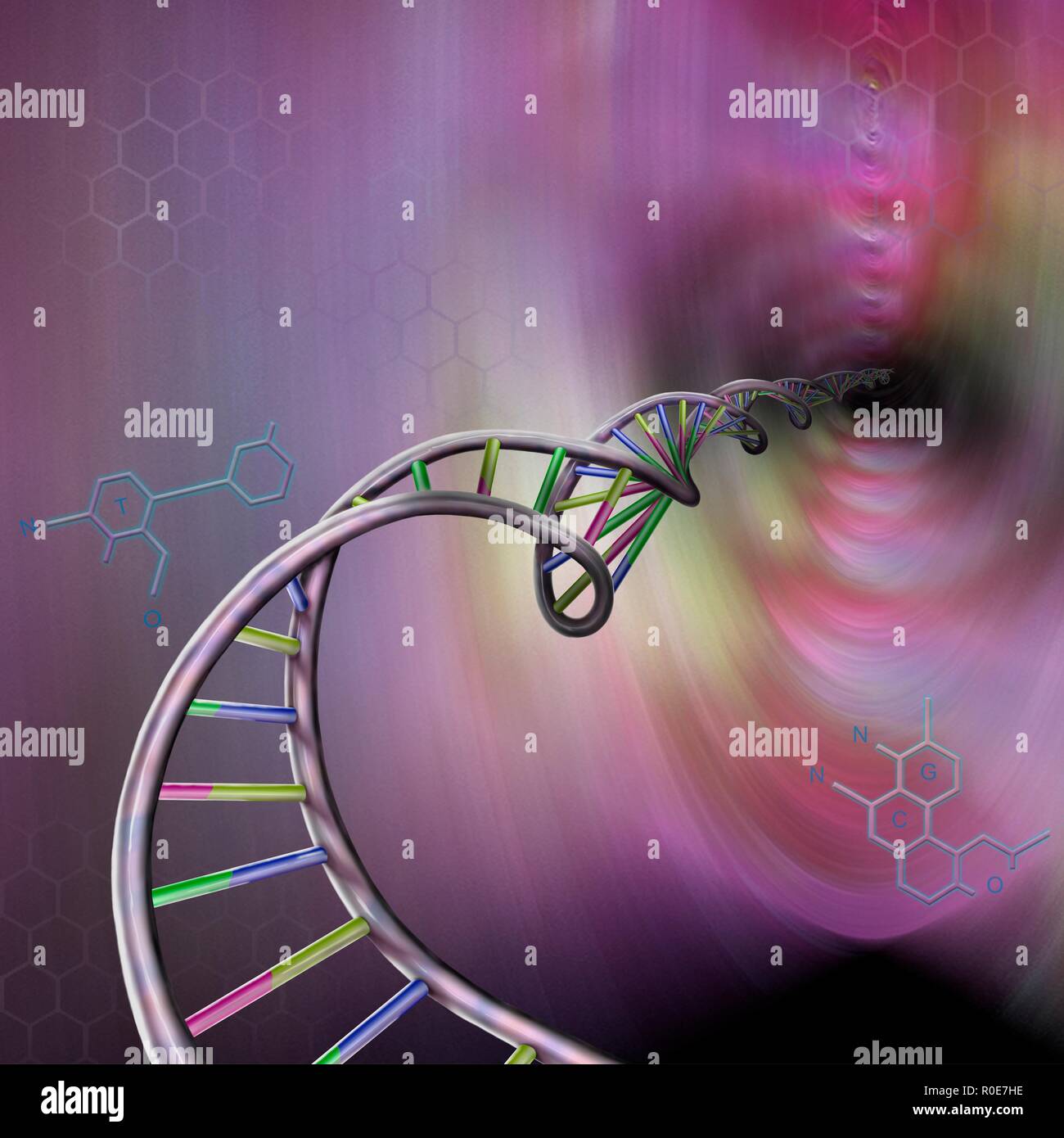 DNA molecule, illustration Stock Photo - Alamy