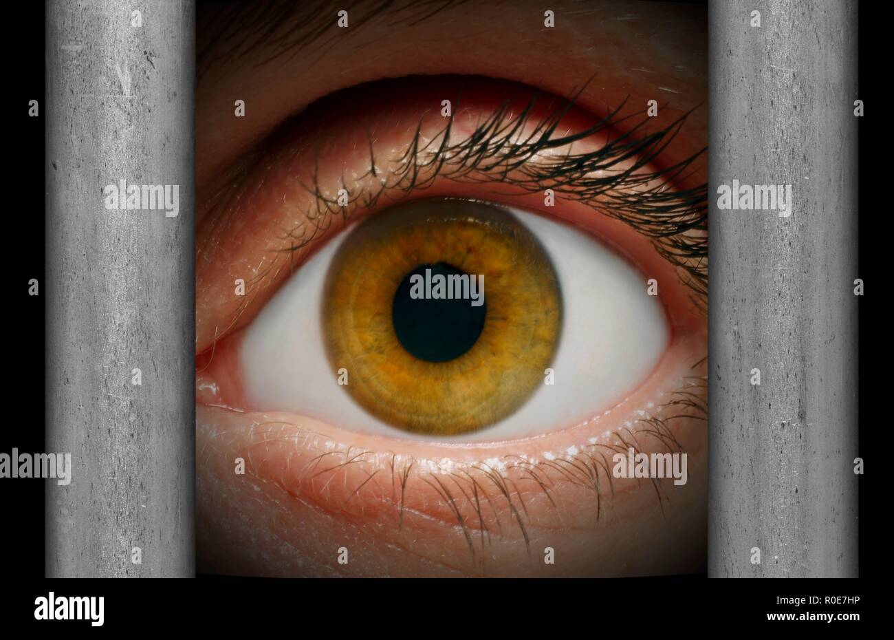 Staring through bars hi-res stock photography and images - Alamy