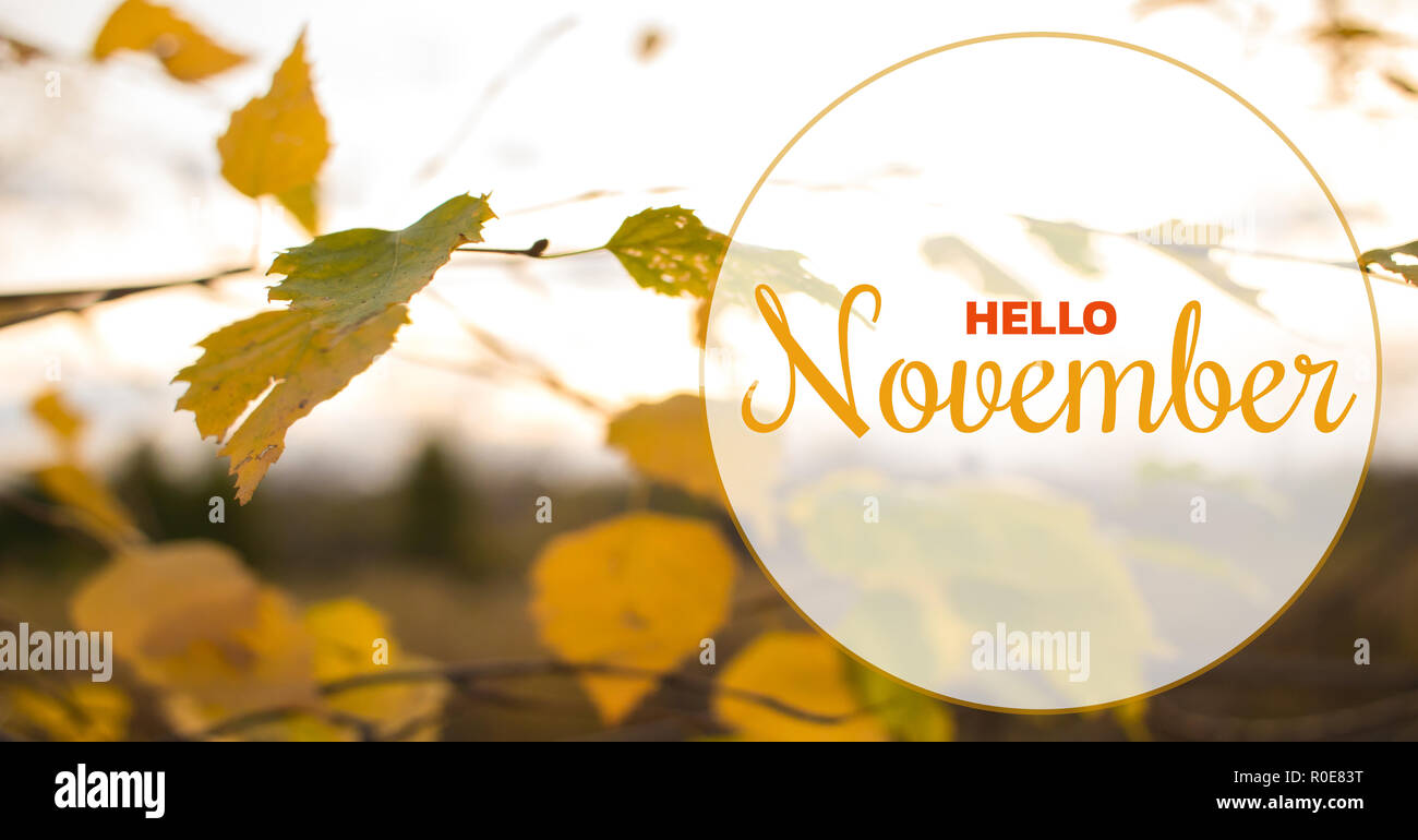 Hello November autumn composition. Yellow and orange leaves on sky ...