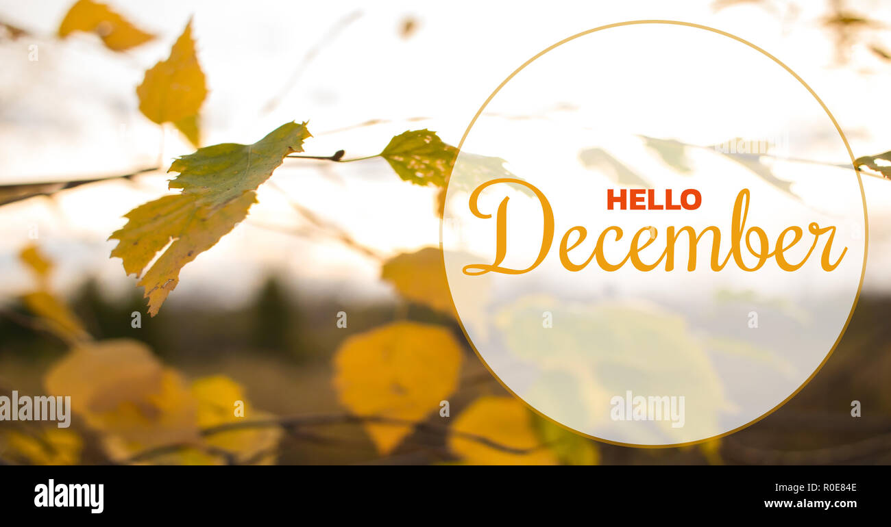 Hello december hi-res stock photography and images - Alamy