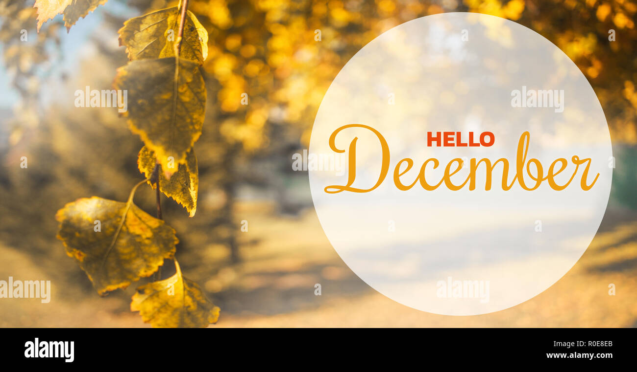 Hello december hi-res stock photography and images - Alamy