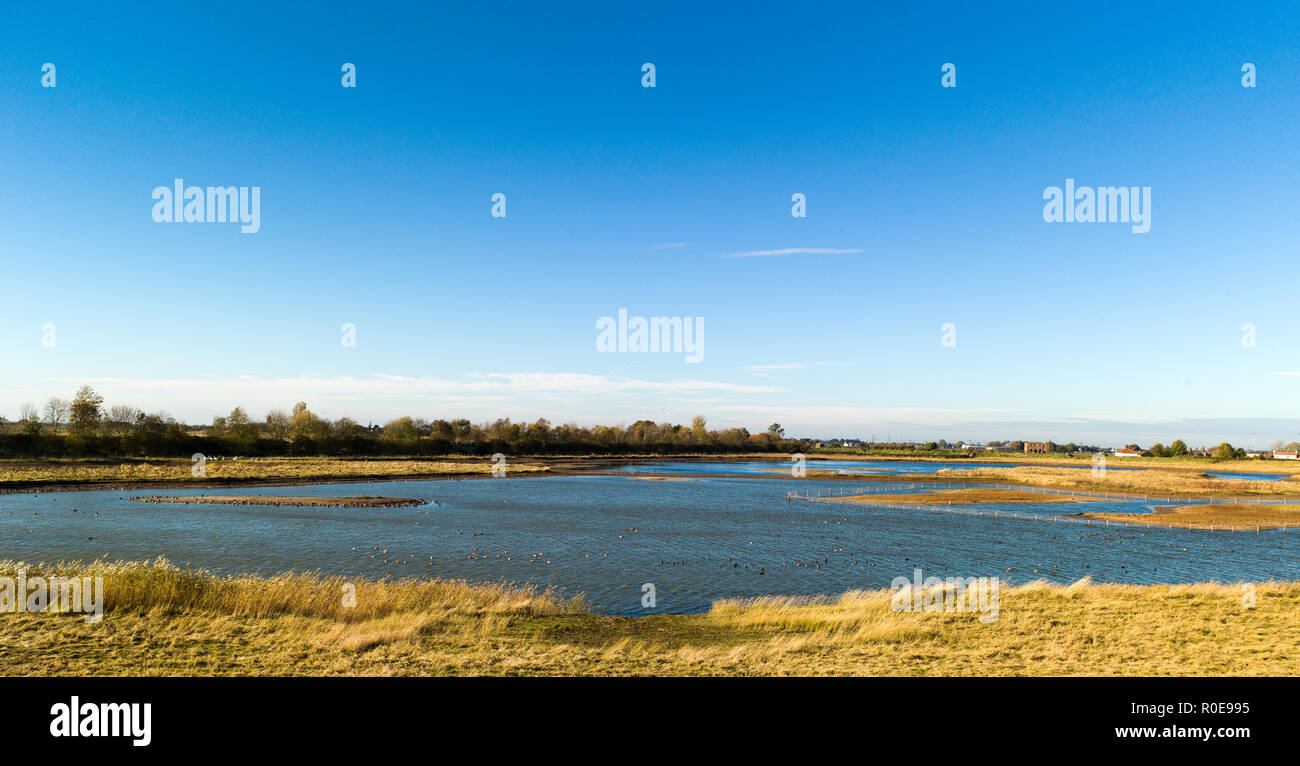 Freiston shore nature reserve hi-res stock photography and images - Alamy