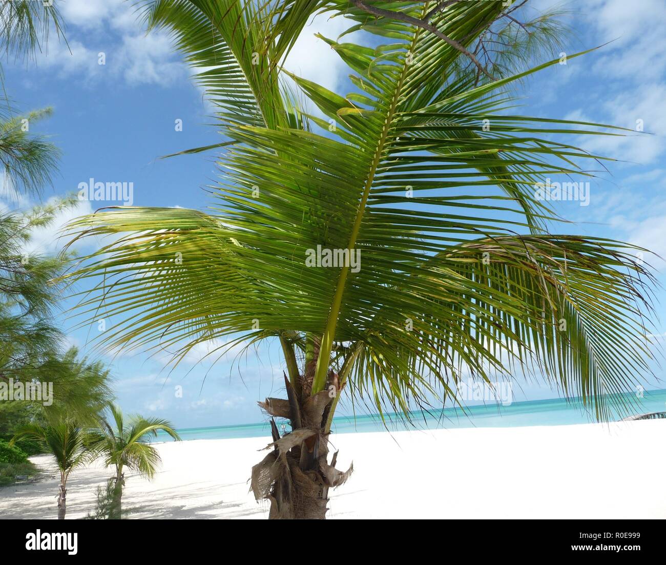 Passion Island, Cozumel - Mexico Stock Photo - Alamy