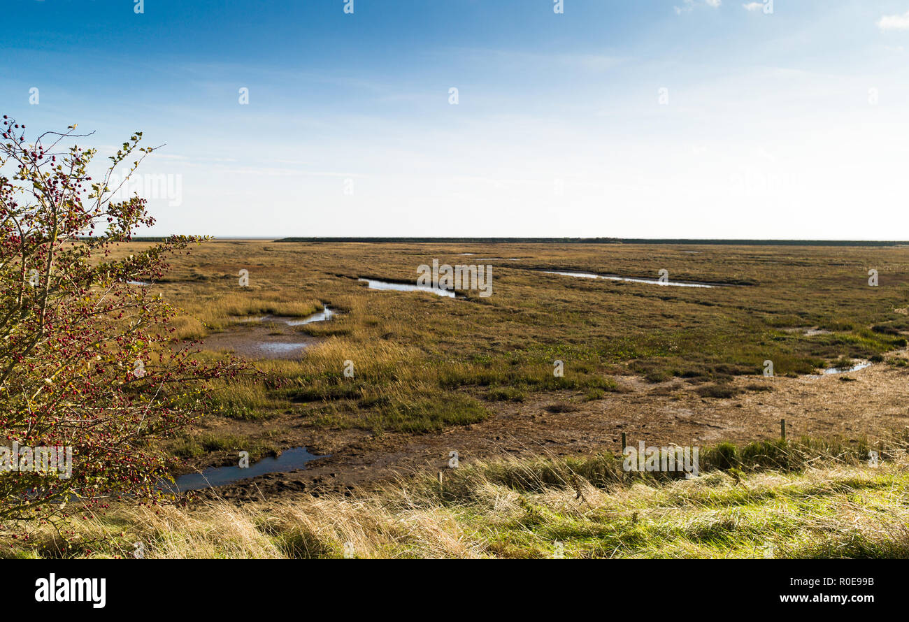 Important bird reserve hi-res stock photography and images - Alamy