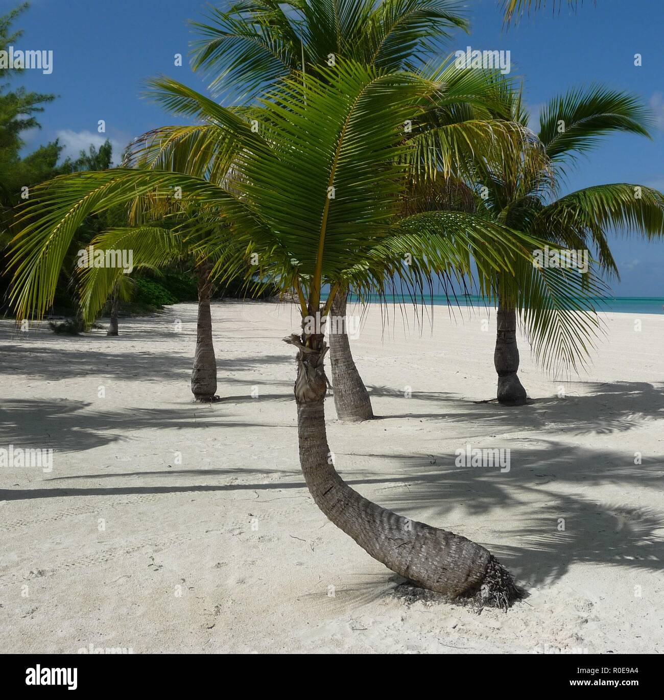 Passion Island, Cozumel - Mexico Stock Photo - Alamy