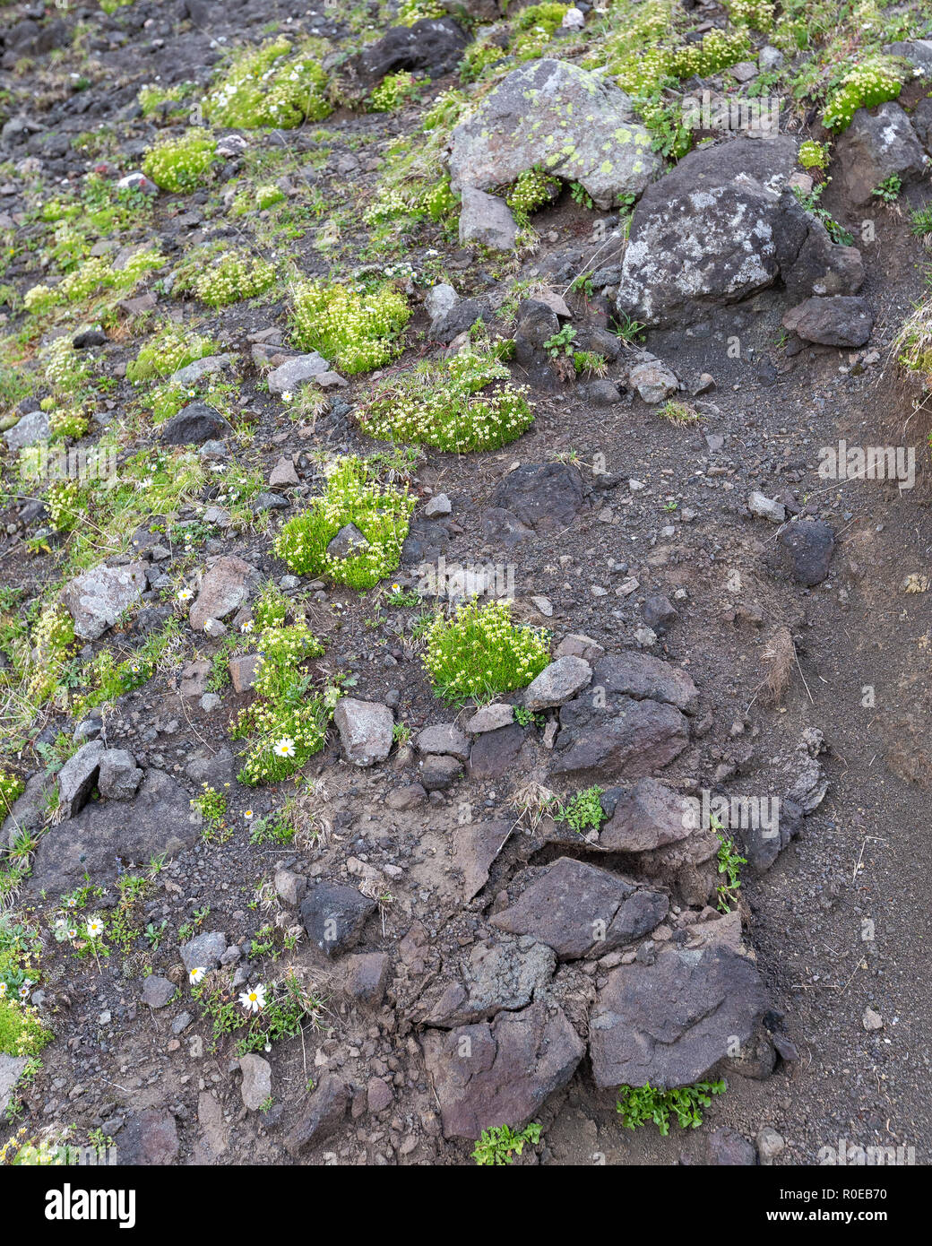 Geological features. Magmatic rocks. Passo Ombretta. The Dolomites ...