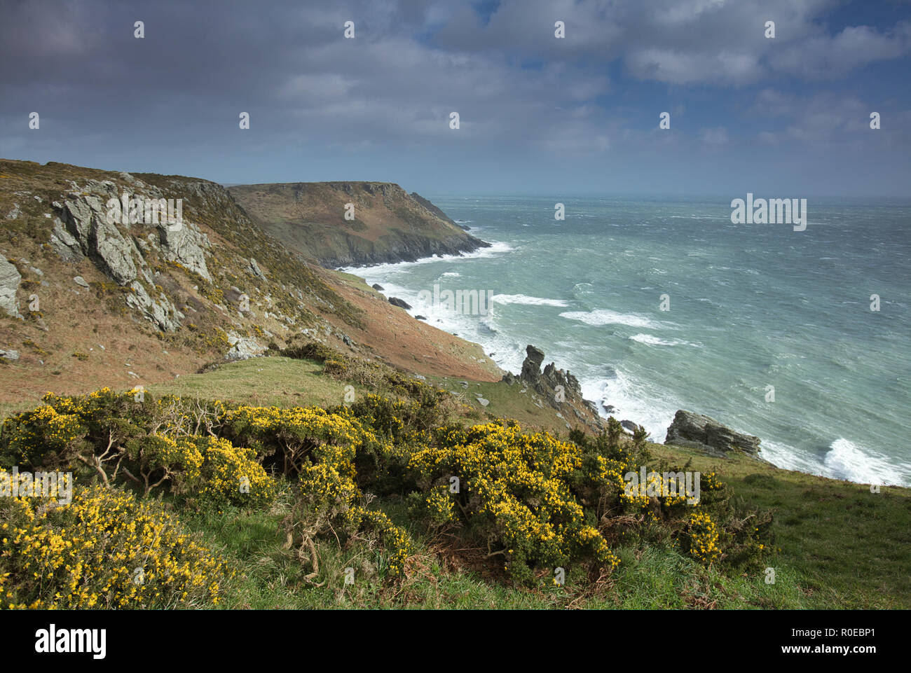 The views of Start Bay from the Southwest coast path, Devon, England ...