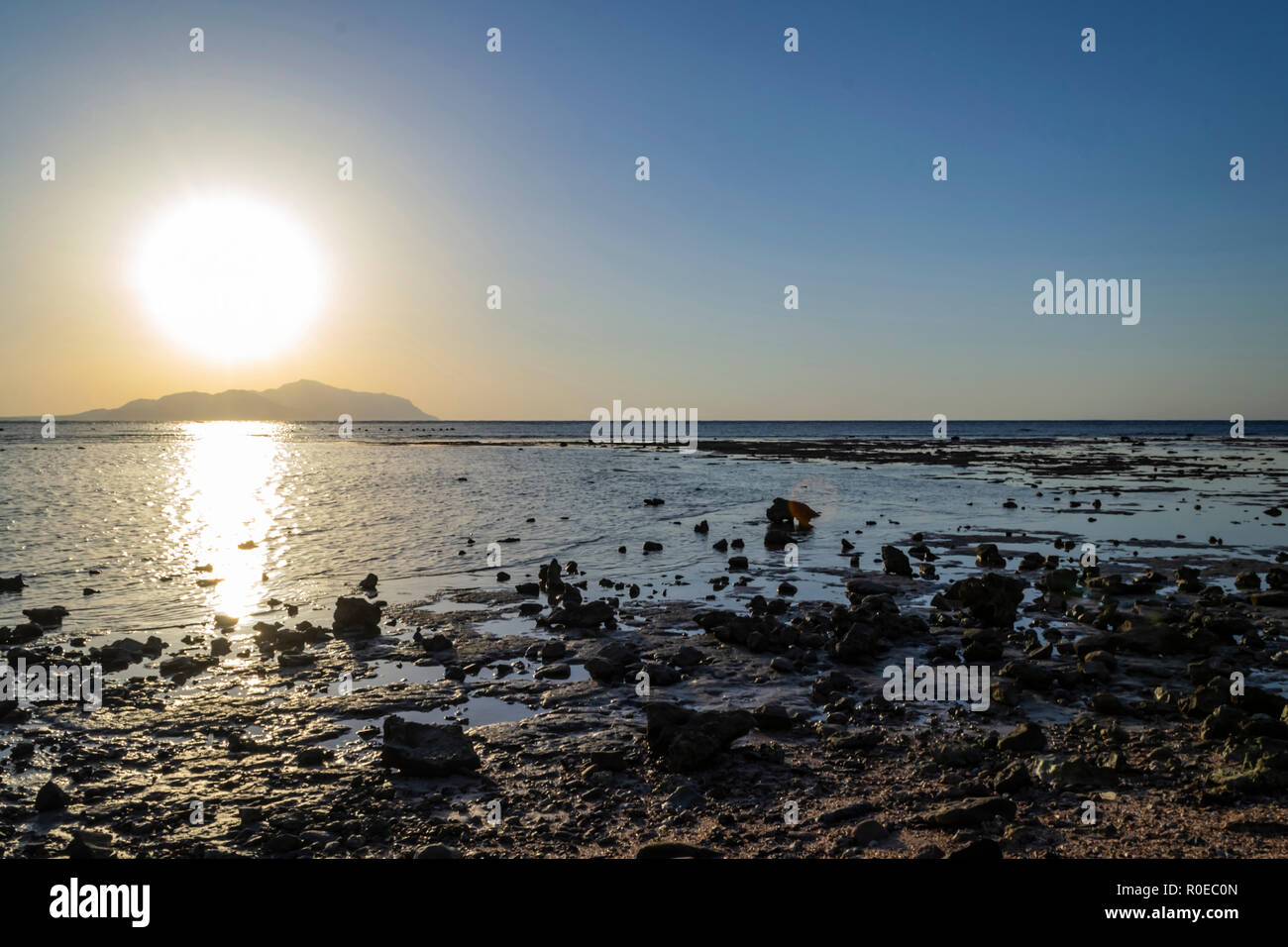 Red Sea Saudi Arabia Beach High Resolution Stock Photography and Images ...