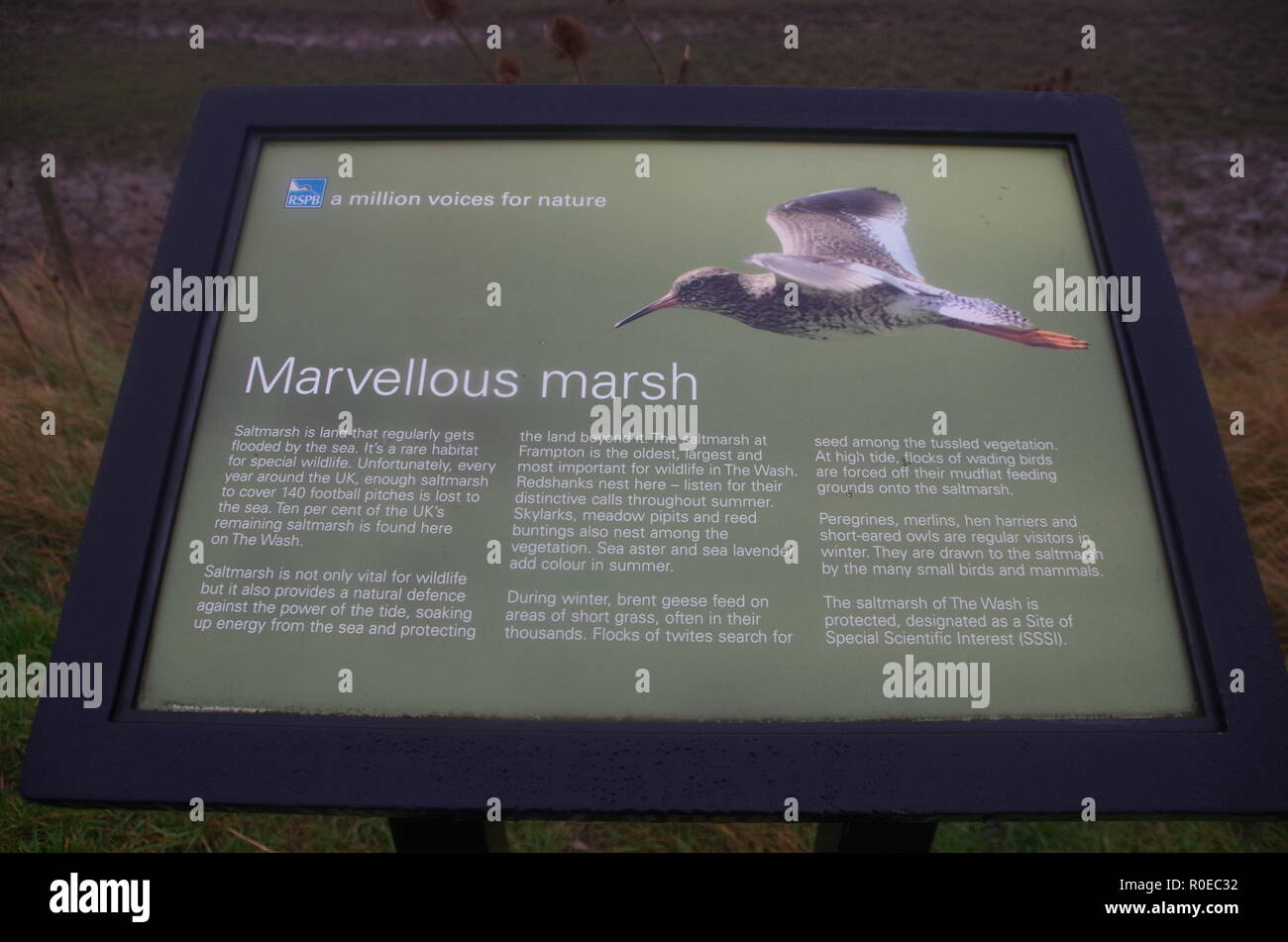 Marsh information panel hi-res stock photography and images - Alamy