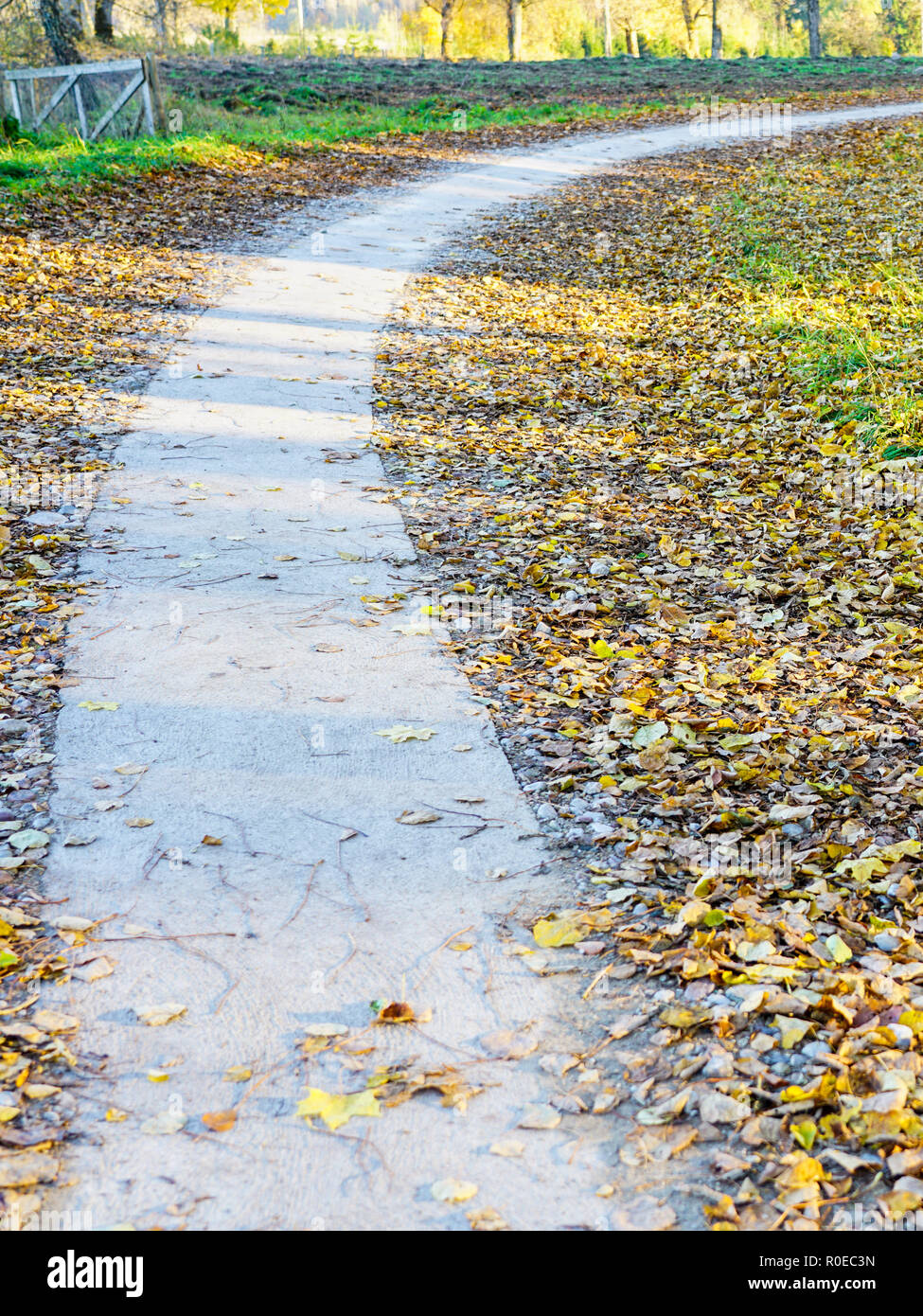 winding walking path to the nature park in the fall Stock Photo - Alamy