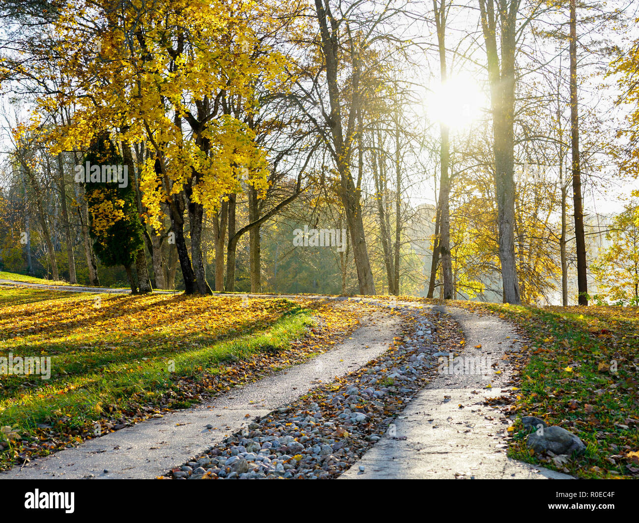 winding walking path to the nature park in the fall Stock Photo - Alamy