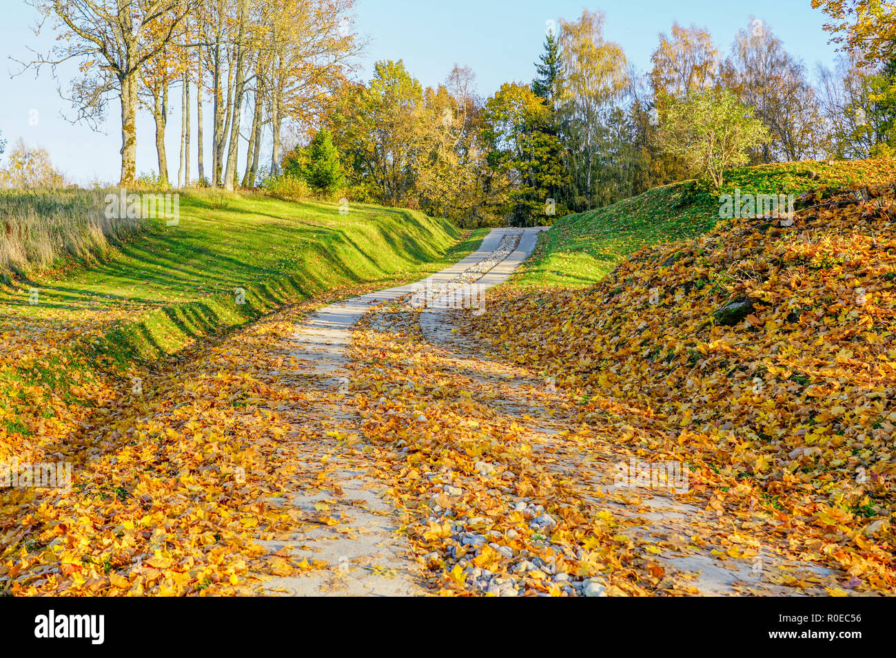 winding walking path to the nature park in the fall Stock Photo - Alamy