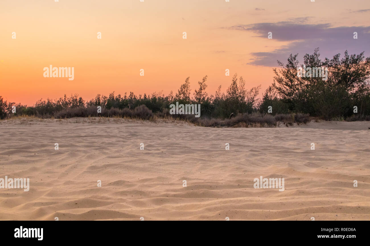 Seen at Rhino Park, private airfield in Pretoria, South Africa Stock ...