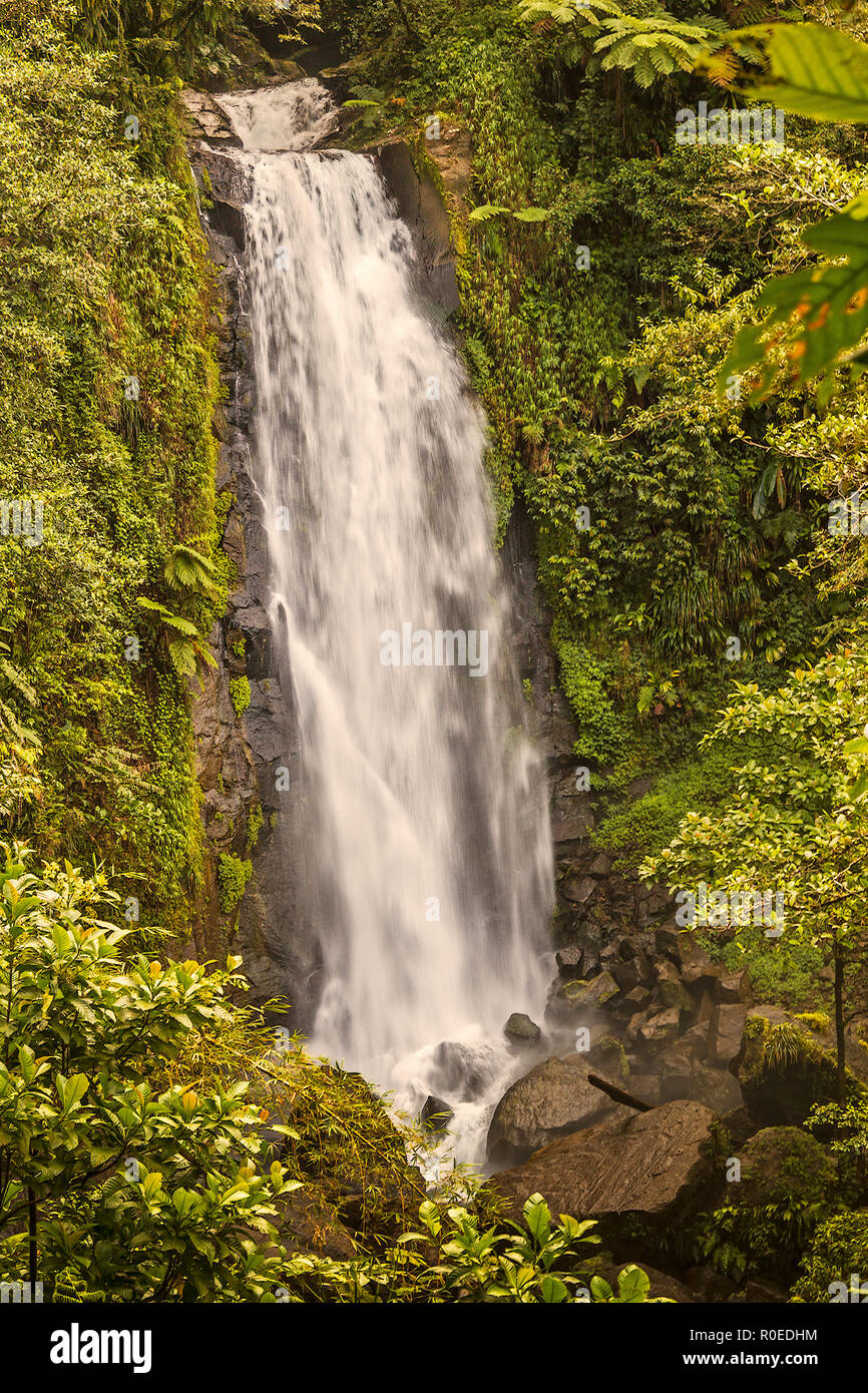 Trafalgar falls hi-res stock photography and images - Alamy