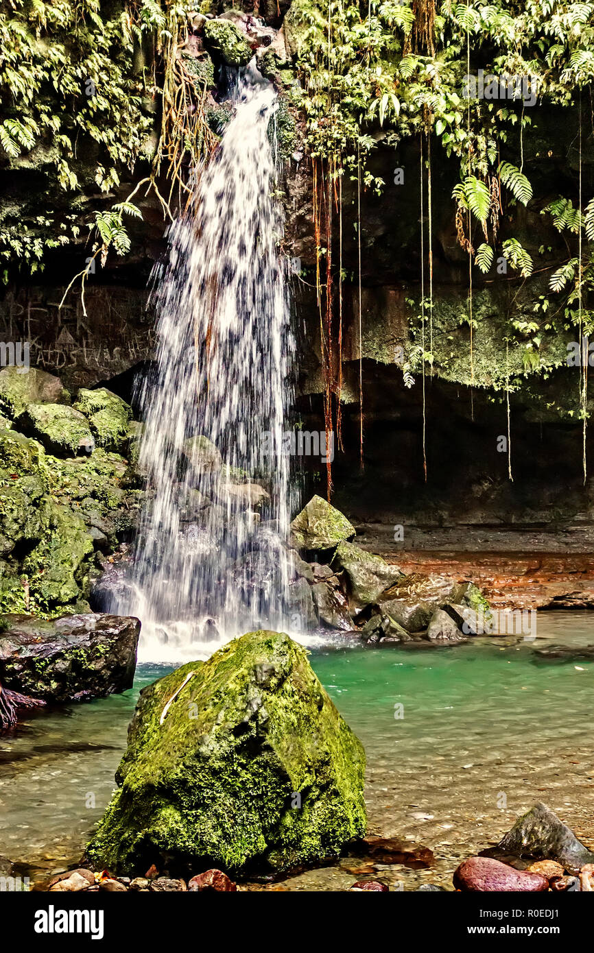 The Emerald Pool Dominica West Indies Stock Photo - Alamy