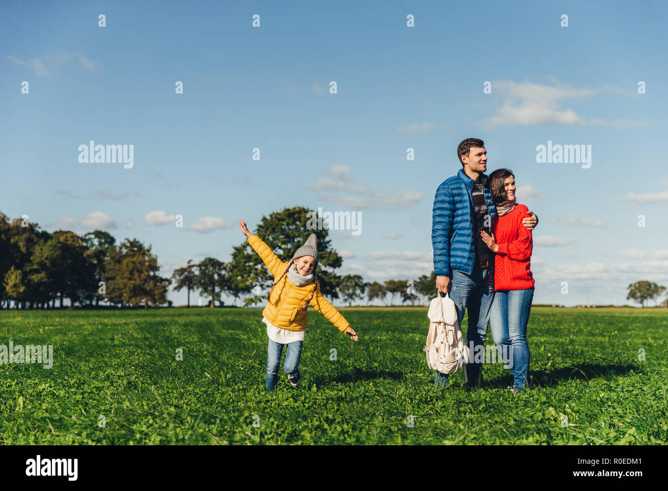 Family holding hands and walking into the distance hi-res stock ...