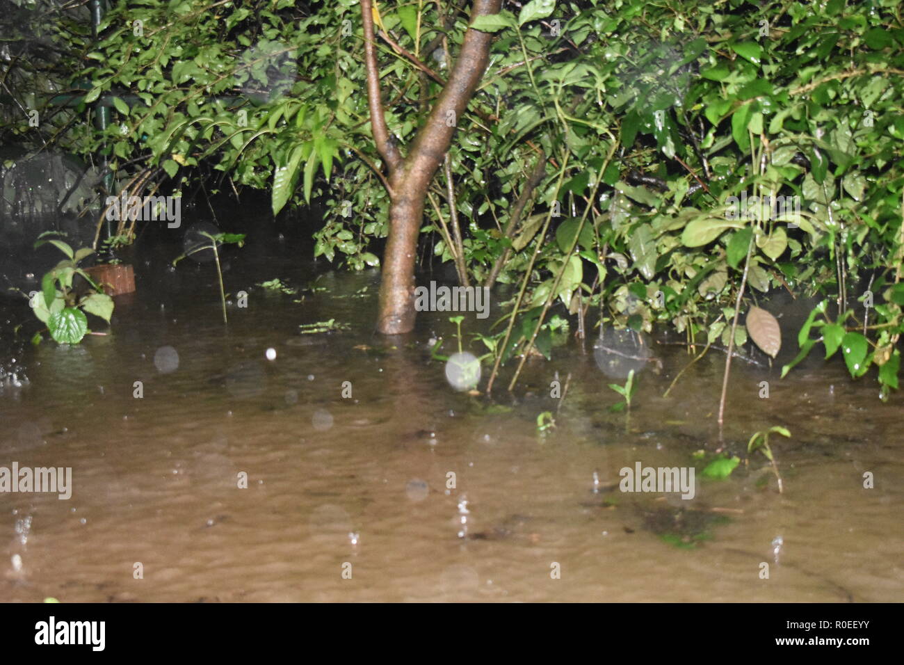 Heavy raining and flooded Kerala Stock Photo - Alamy