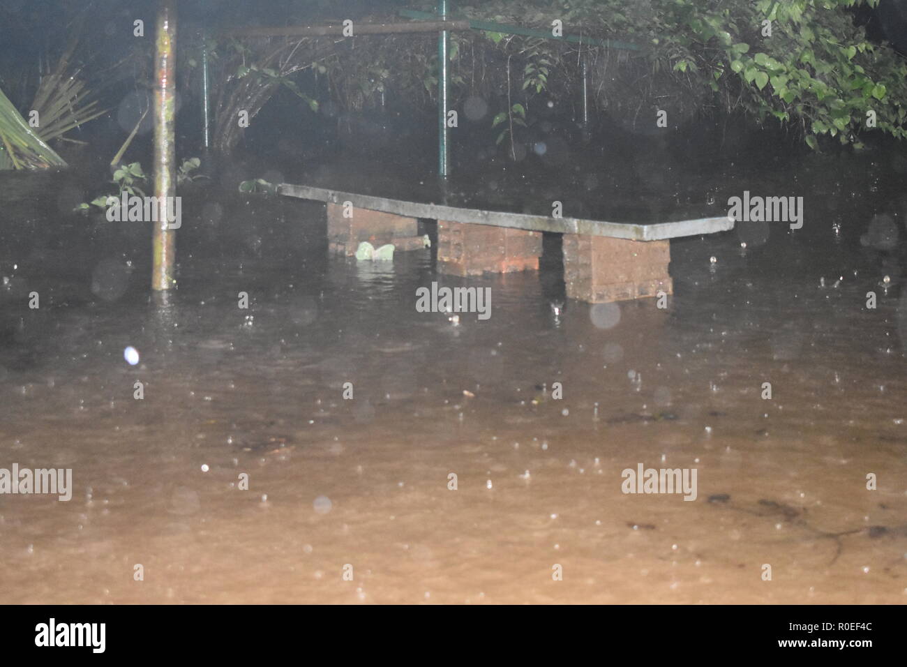 Heavy raining and flooded Kerala Stock Photo - Alamy