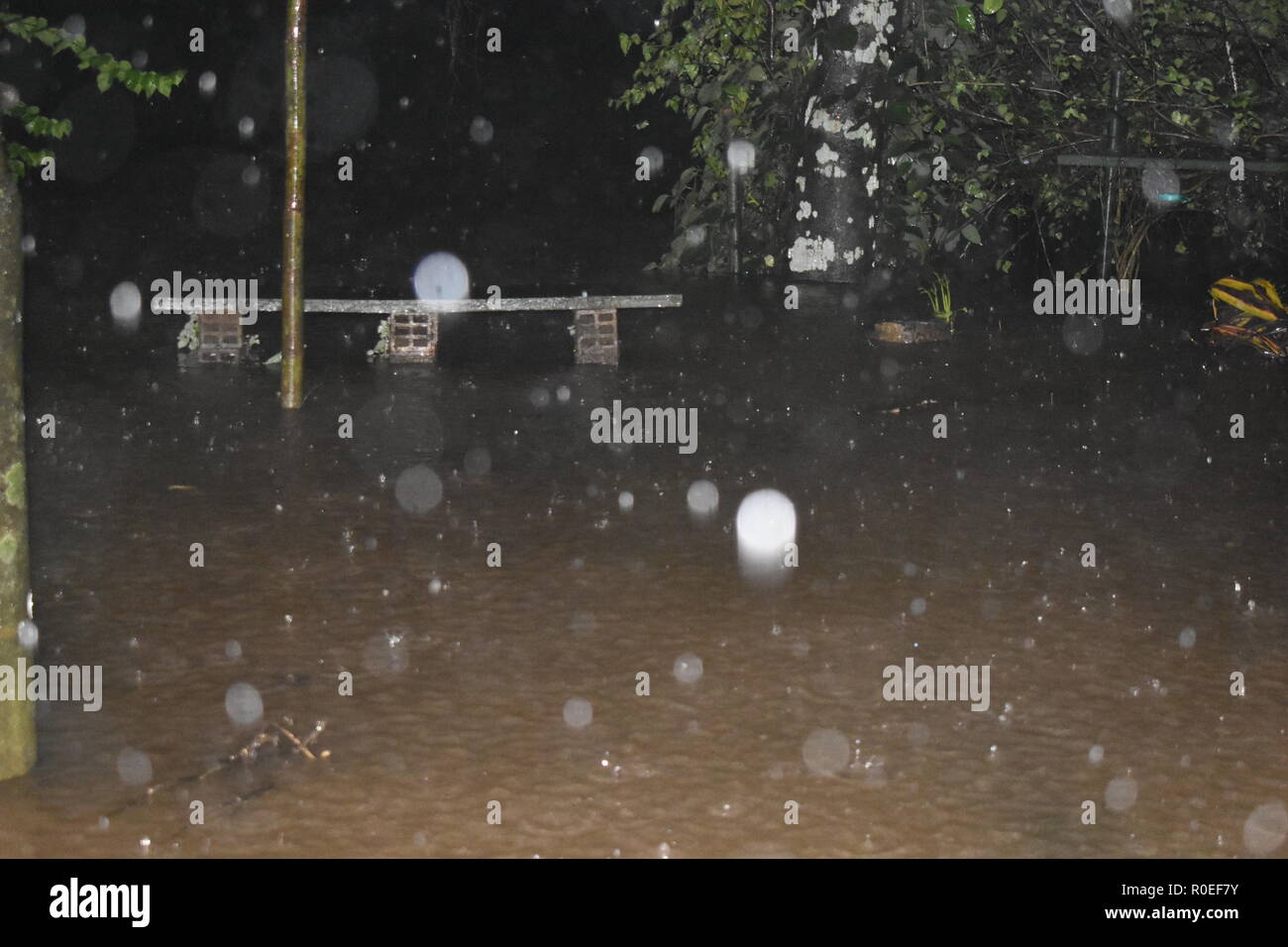 Heavy raining and flooded Kerala Stock Photo - Alamy