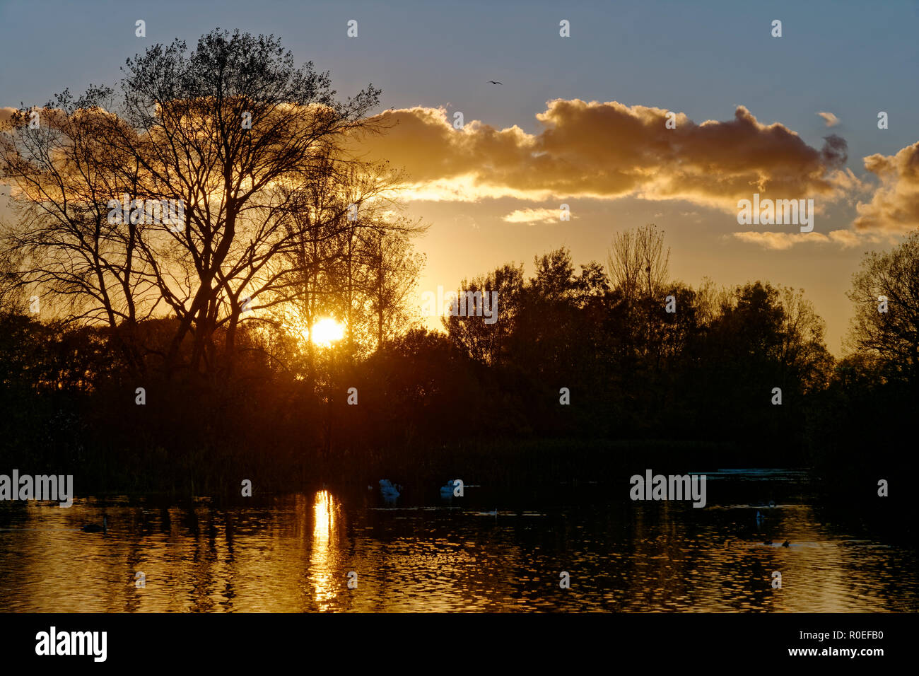 Nailsea hi-res stock photography and images - Alamy