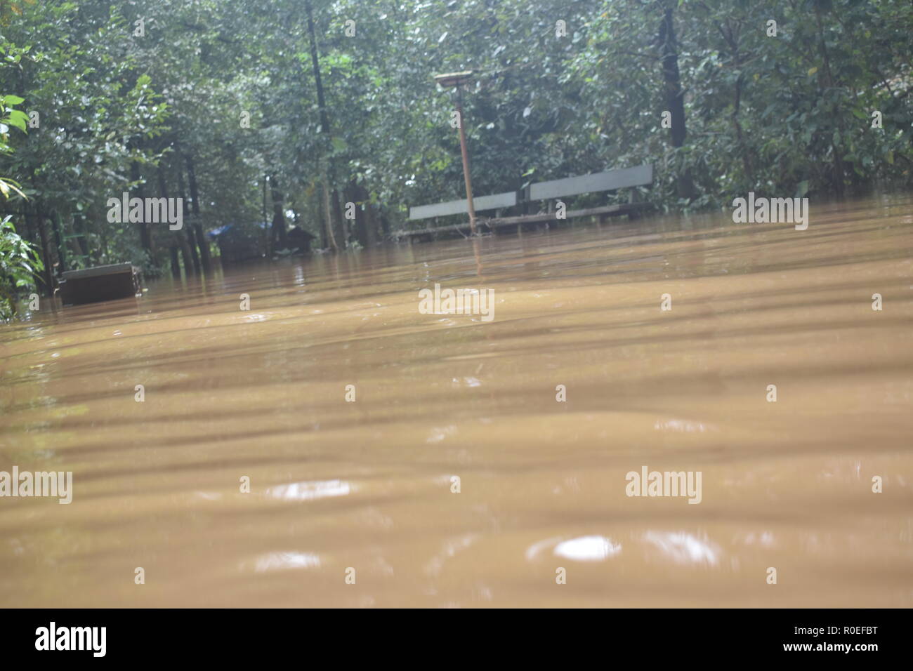 Heavy raining and flooded Kerala Stock Photo - Alamy