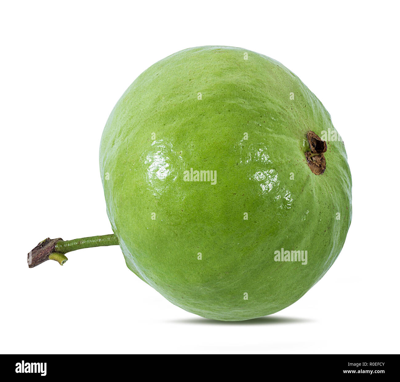 Guava isolated on white background Stock Photo - Alamy