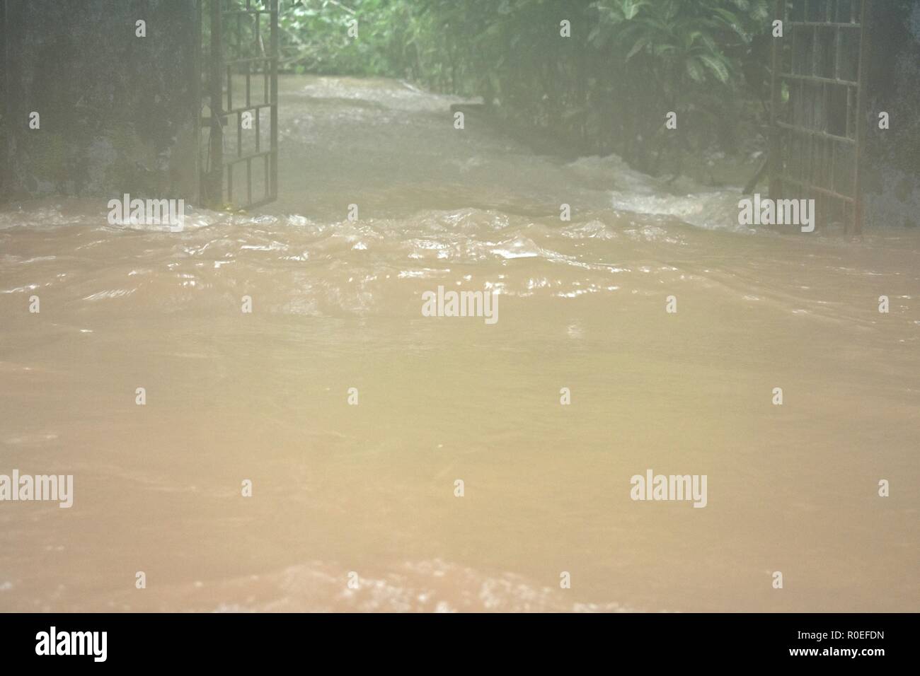 Heavy raining and flooded Kerala Stock Photo - Alamy