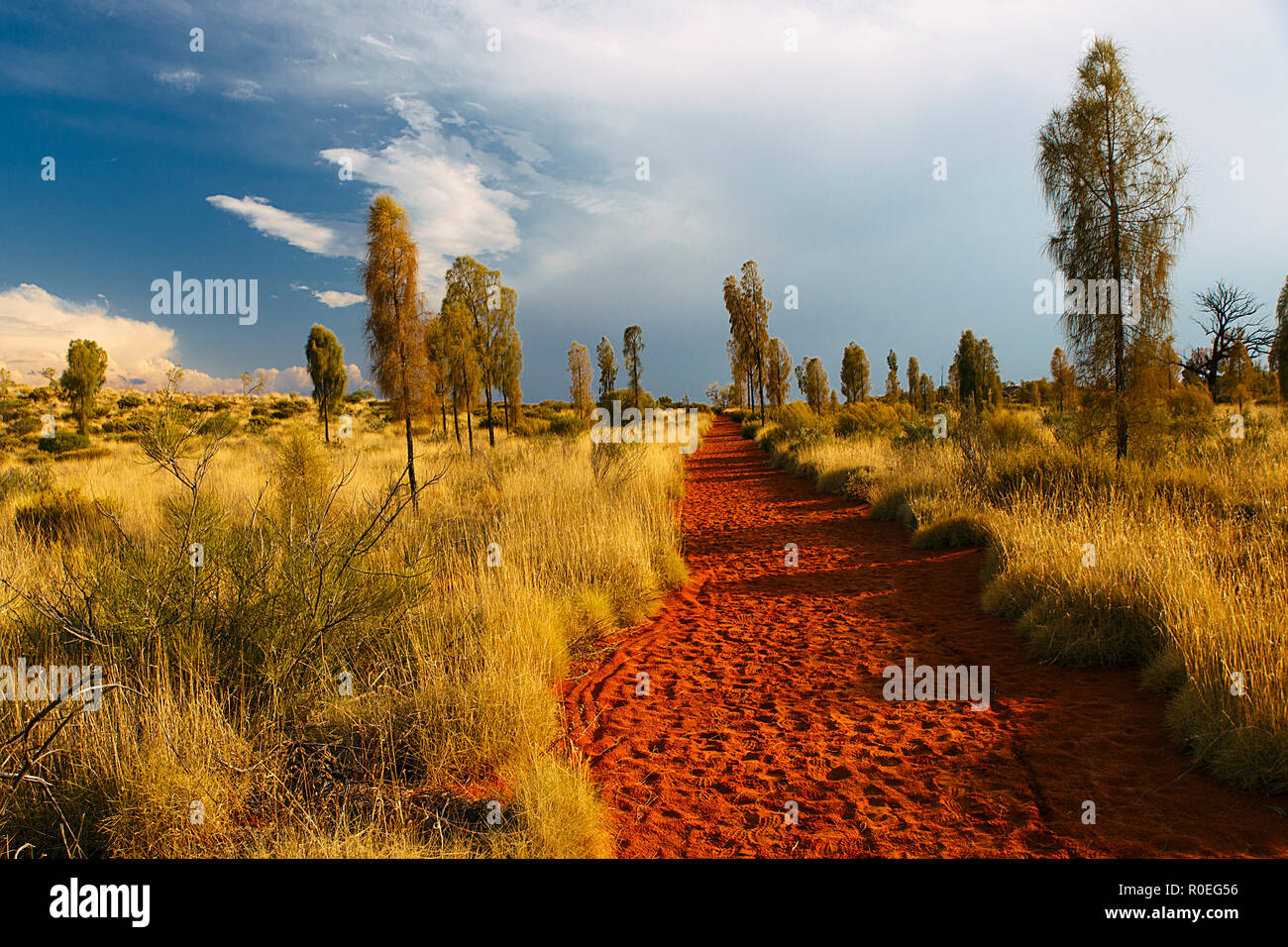 Uluru landscape , Australia Stock Photo - Alamy