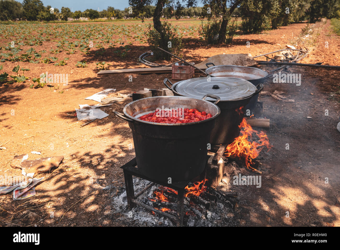 The traditional preparation of the tomato sauce in the south of italy ...