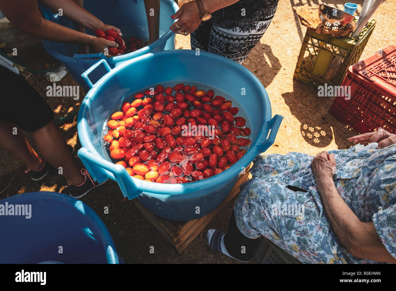 The traditional preparation of the tomato sauce in the south of italy ...