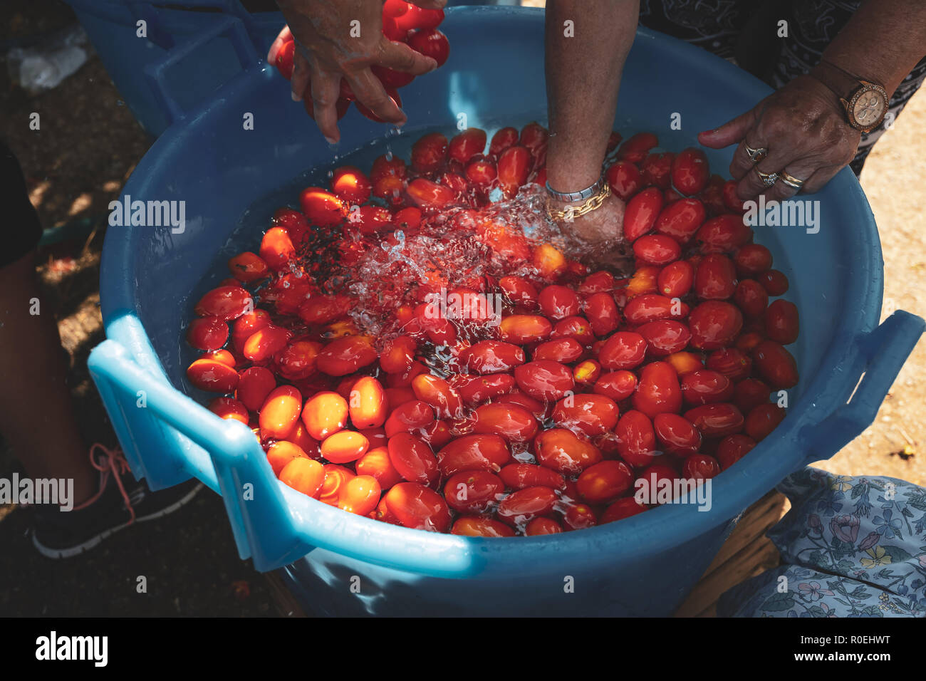 The traditional preparation of the tomato sauce in the south of italy ...
