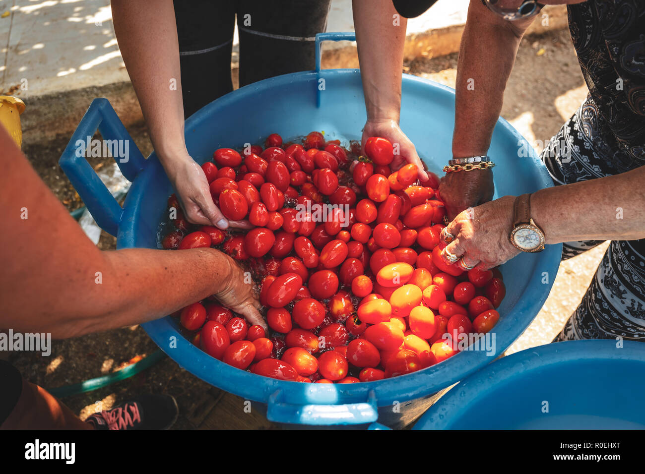 The traditional preparation of the tomato sauce in the south of italy ...