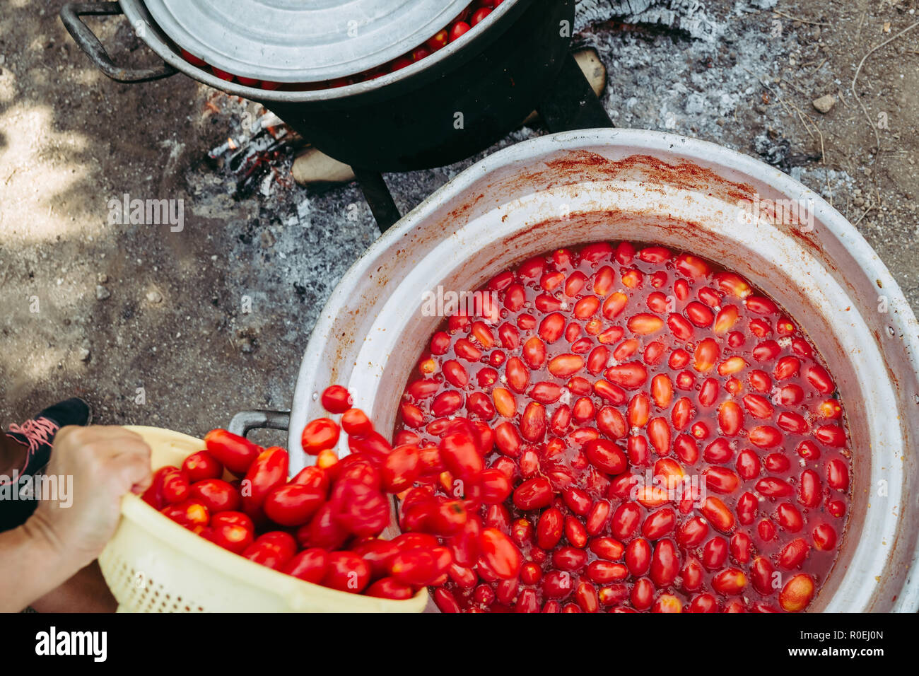 The traditional preparation of the tomato sauce in the south of italy ...
