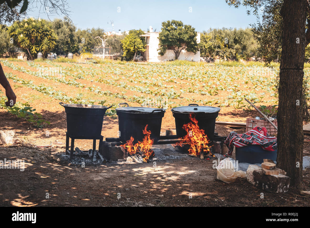 The traditional preparation of the tomato sauce in the south of italy ...