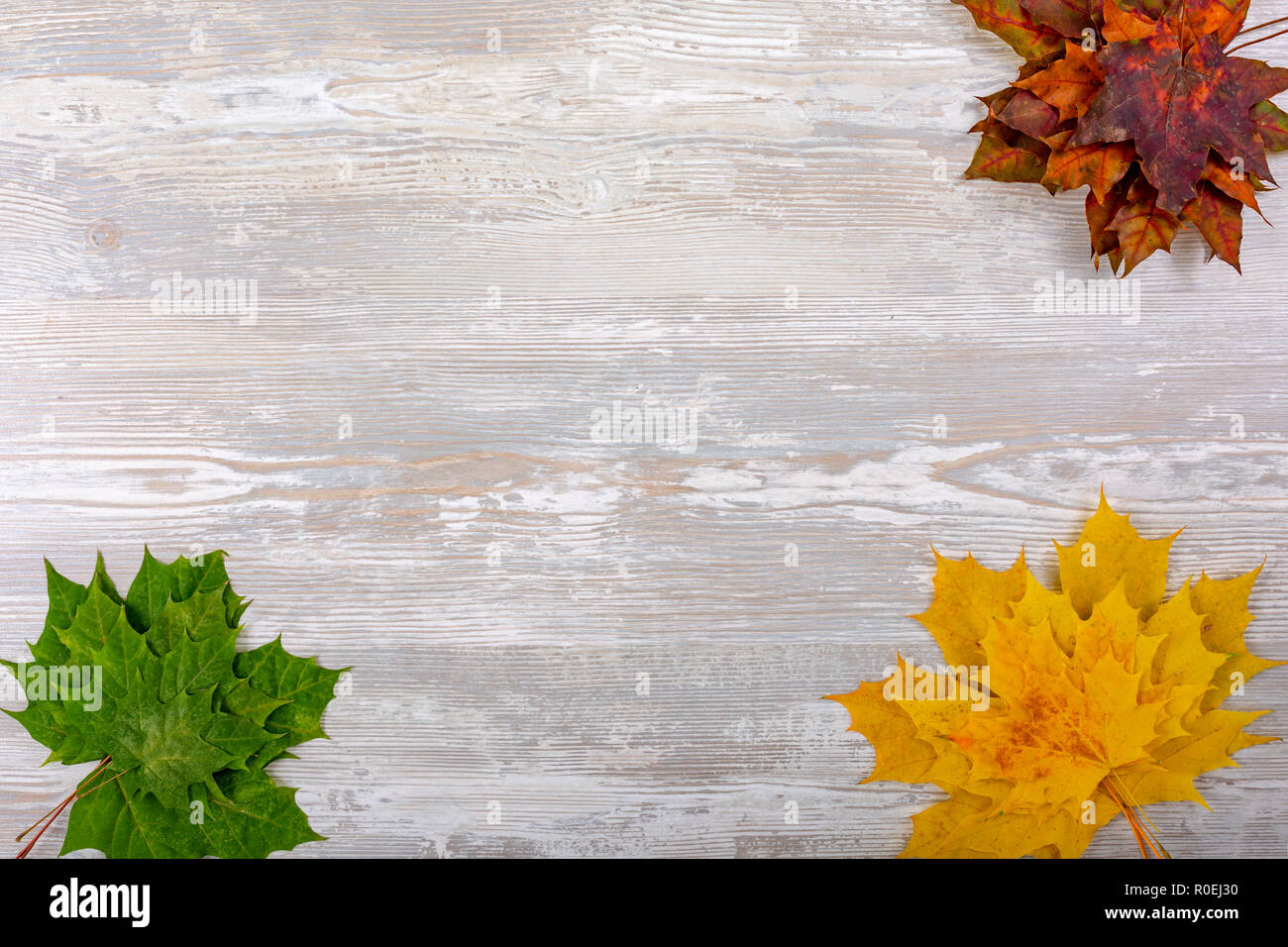 Autumn Leaves Border Design High Resolution Stock Photography and ...