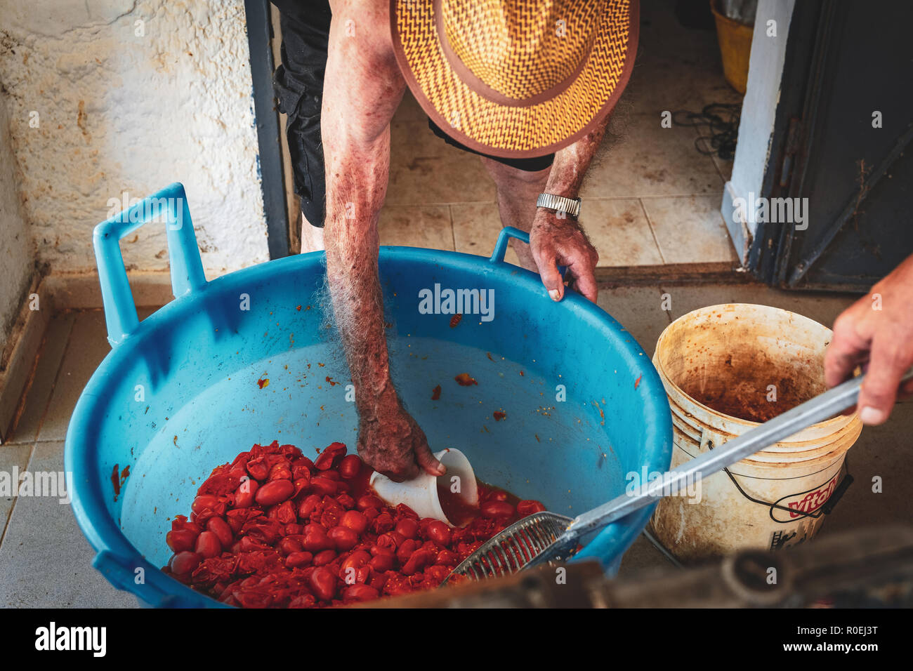 The traditional preparation of the tomato sauce in the south of italy ...