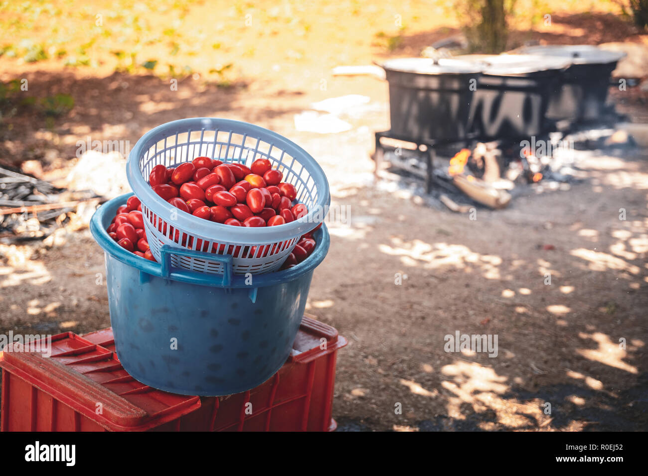 The traditional preparation of the tomato sauce in the south of italy ...