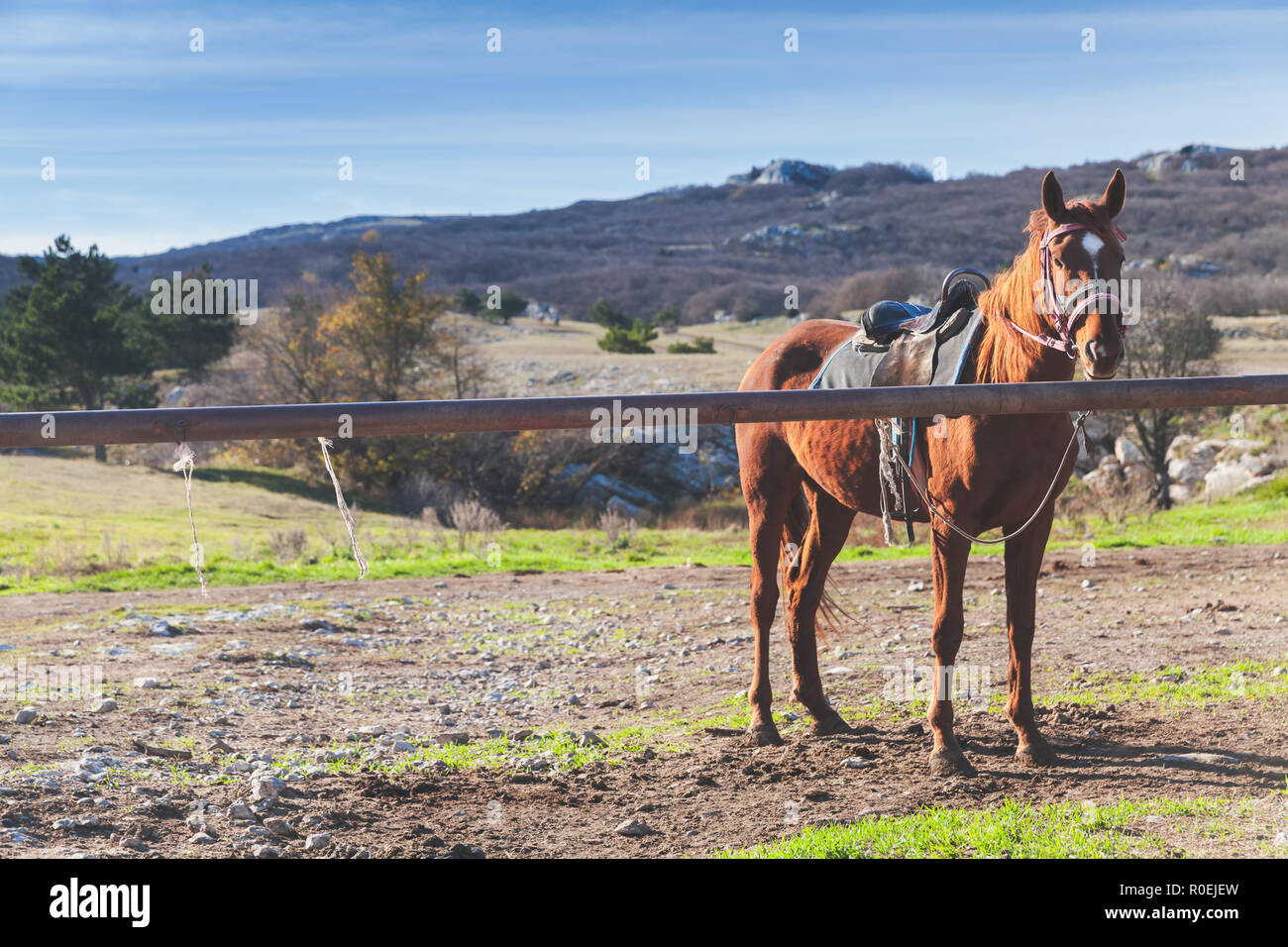 Saddle on fence hi-res stock photography and images - Alamy