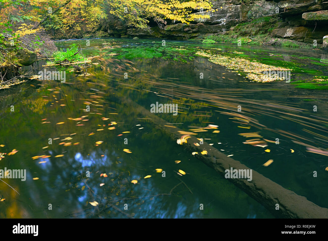 Small river in a forest in autumn. Leaves in water Stock Photo - Alamy