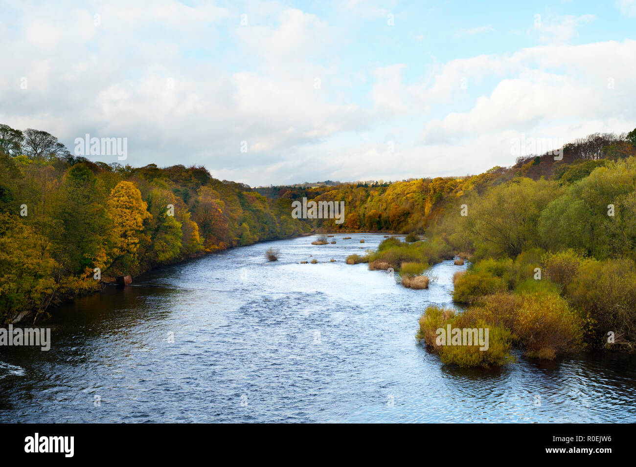 River tyne wylam hi-res stock photography and images - Alamy